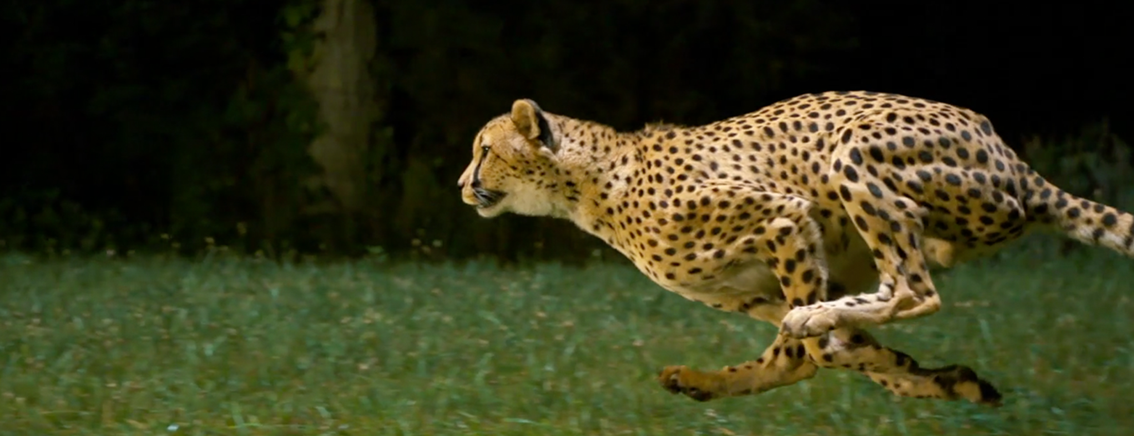 Cloudwords - Make Your Marketing Cloud Global